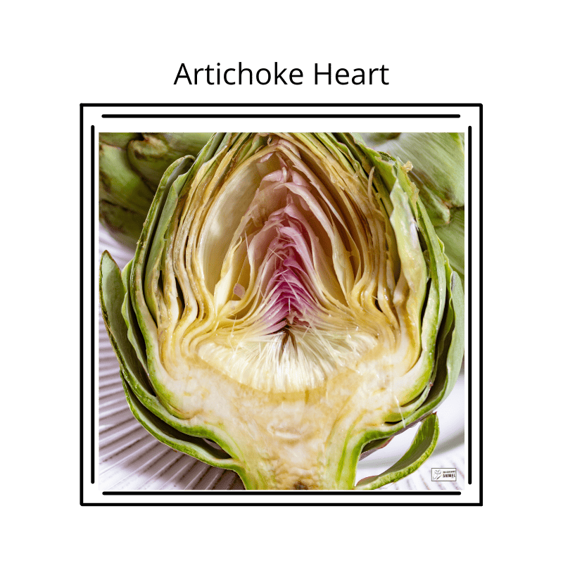 Introduction to Artichokes: Exploring the Basics - The Educated Animal