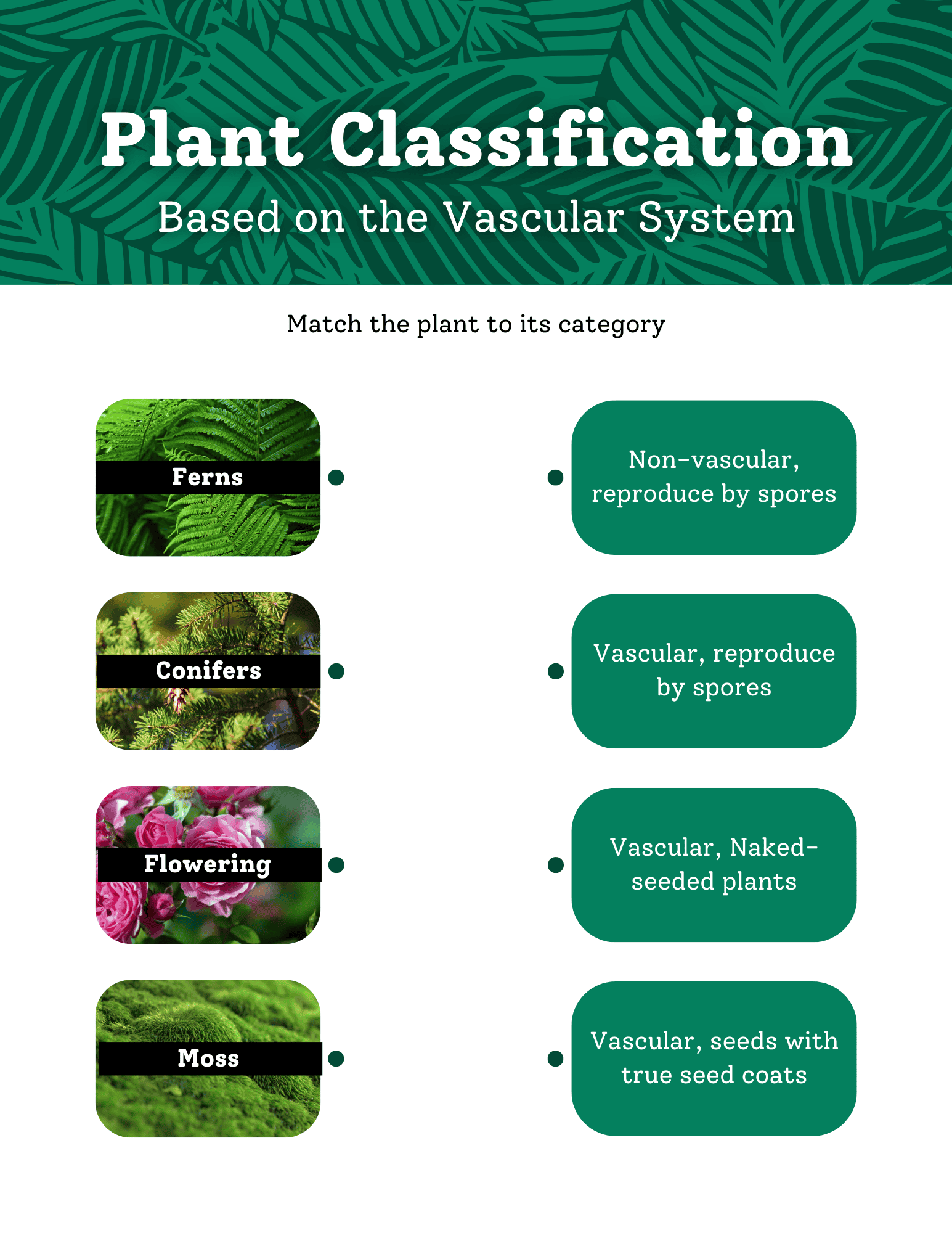 Resource Catalog - The Educated Animal